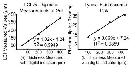 David F. Katz - In Vivo Studies